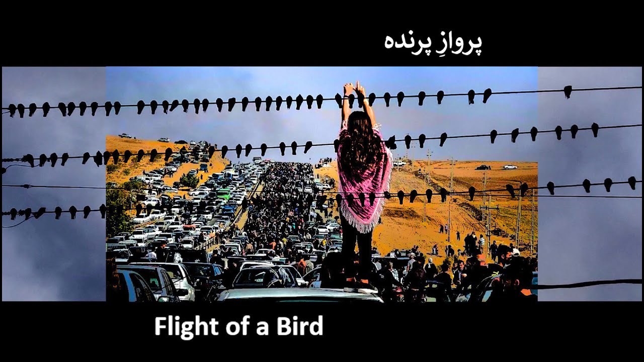 Flight of a Bird (ft. Mahnaz Rad) ---- پرواز پرنده - YouTube