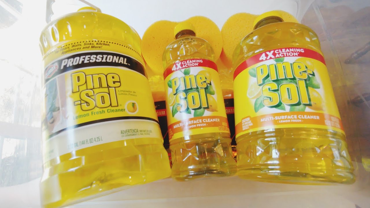 SATISFYING NEW SPONGES + GALLONS LEMON PINE SOL - YouTube