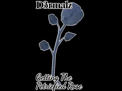 Getting The Petrified Rose In Minus Elevation - YouTube