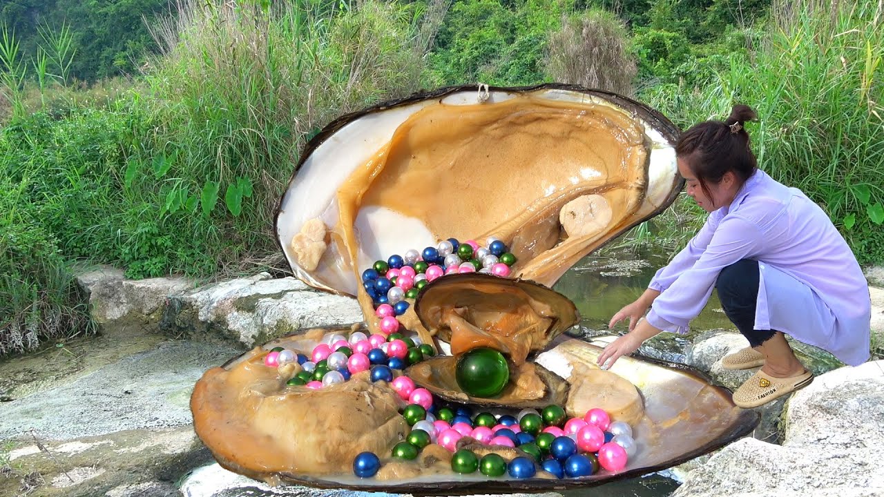 I found a rare treasure on a mother clam, which is an emerald green ...