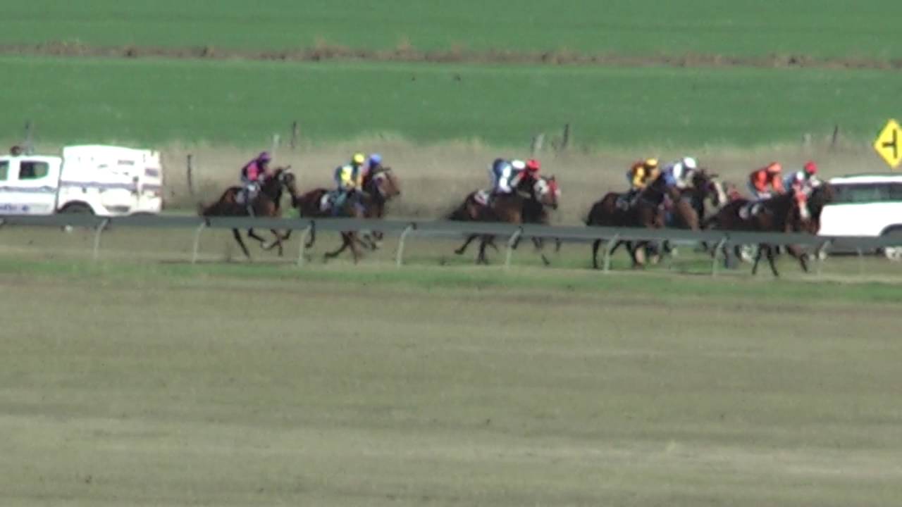 Thangool Races 23rd July 2016 - YouTube