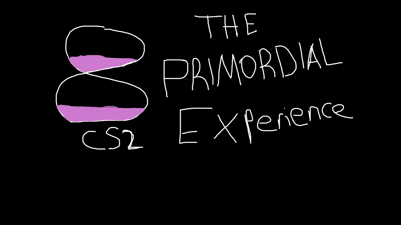 The Primordial CS2 Experience - YouTube