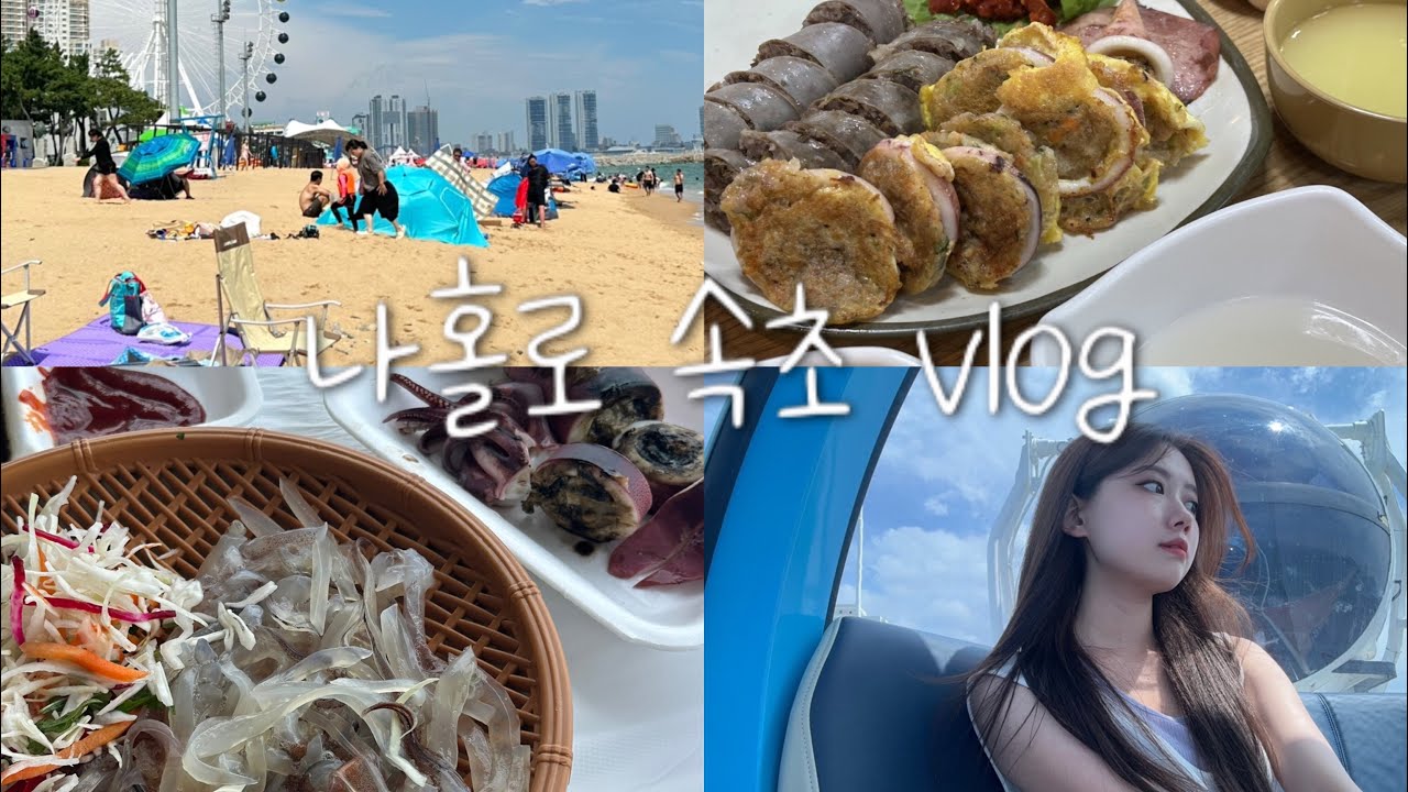 나홀로 속초 Vlog 여자 혼자 속초 여행 혼자 가기 좋은 술집 추천오징어회 오징어순대 속초 물회 속초아이 서점투어 Youtube