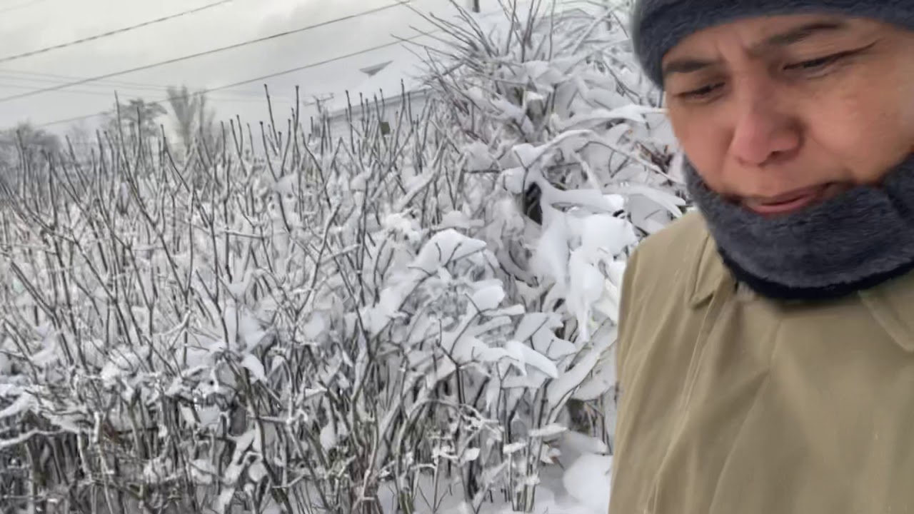 Beautiful Snow fall @ Berlin New Hampshire ️ ️ ️⛄️⛄️⛄️ - YouTube