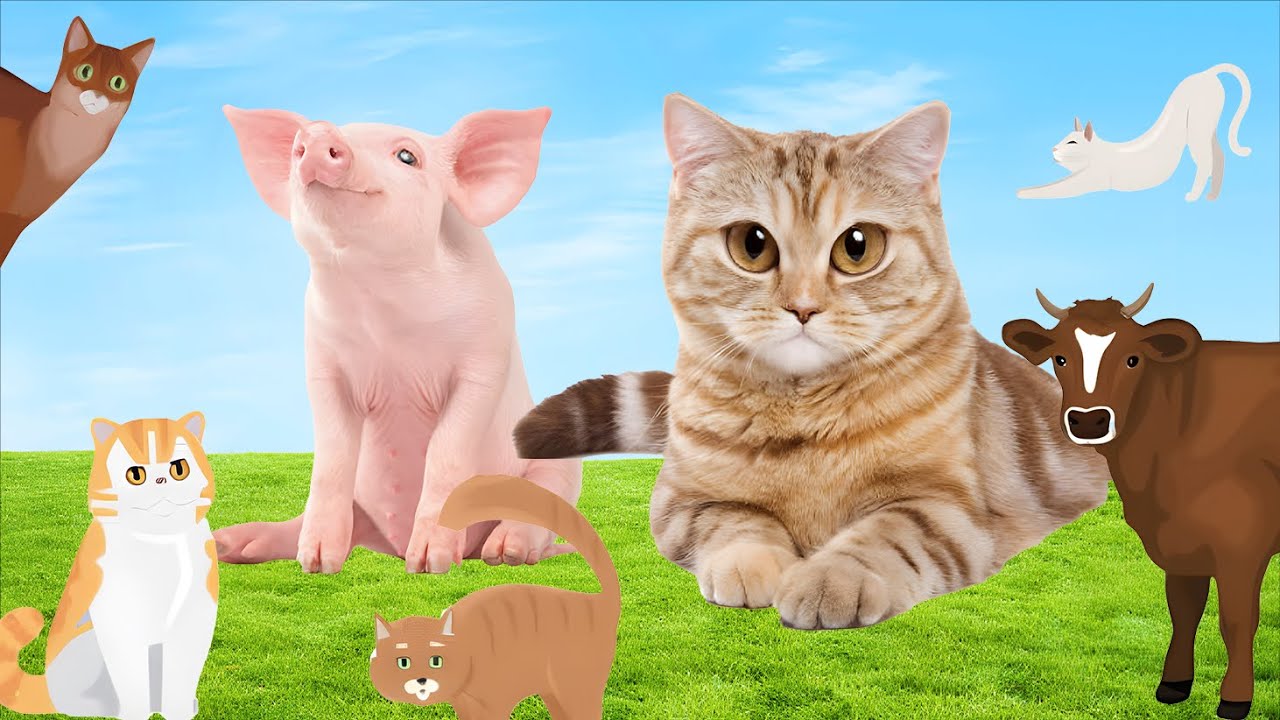 The Funniest Animal Sounds: Pig, Elephant, Goose, Cow, Raccoon, Horse ...