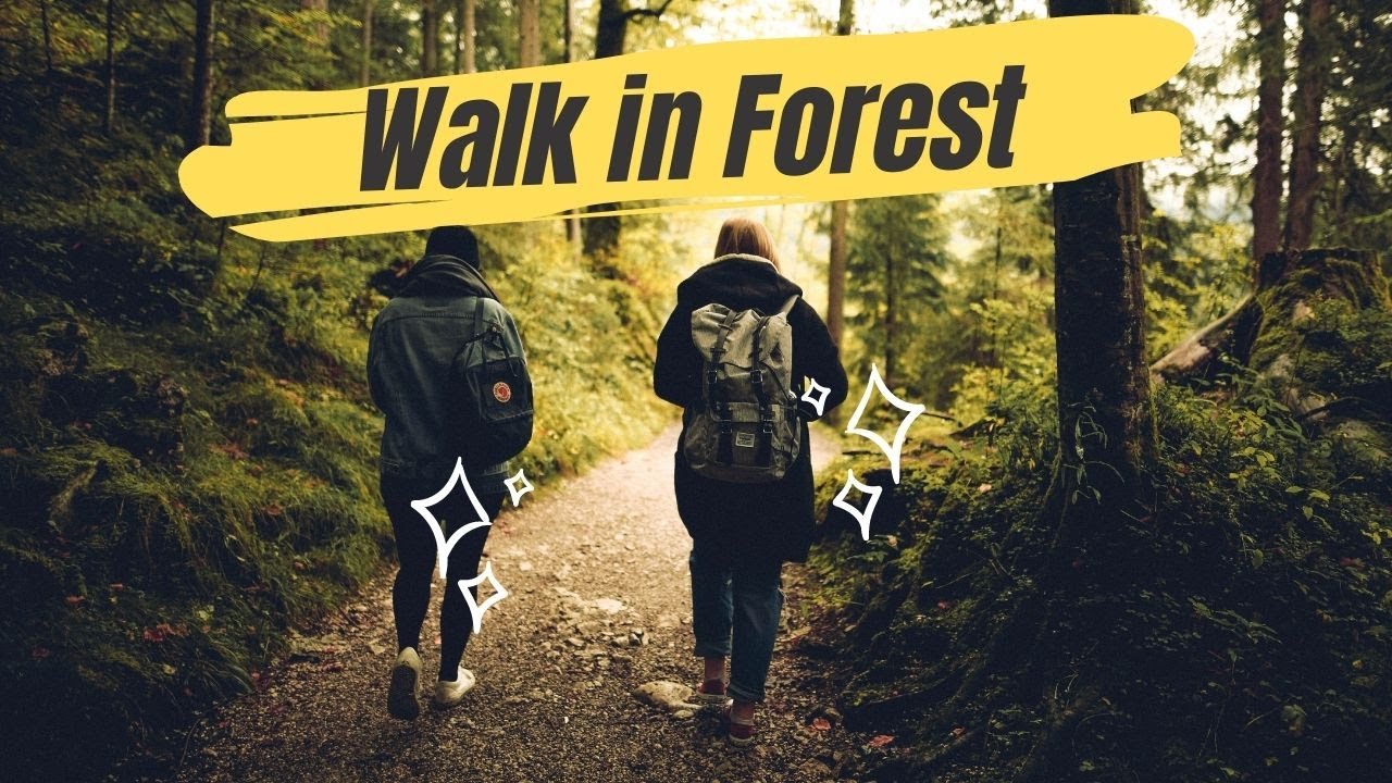 Walk In Forest - Cinematic Video Film / Portrait Video - YouTube