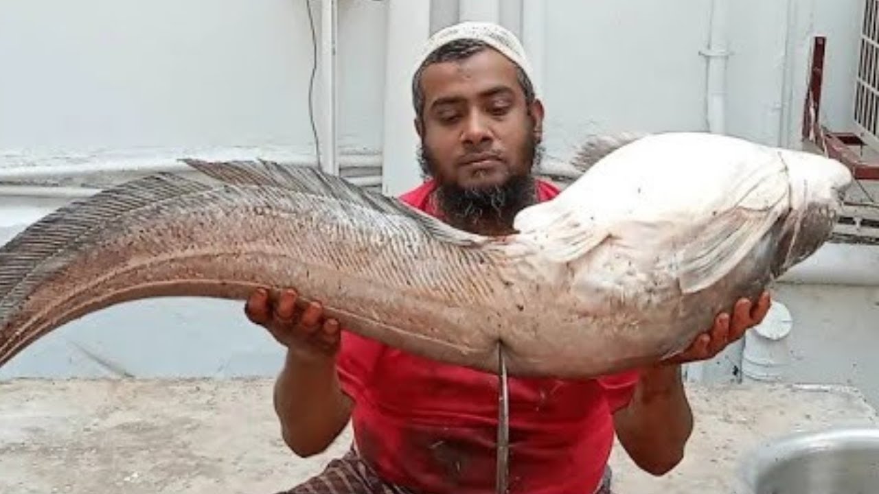 Big Boal Fish Fish Cutting Skills In Bangladeshi!! ARS Fish Cutting ...