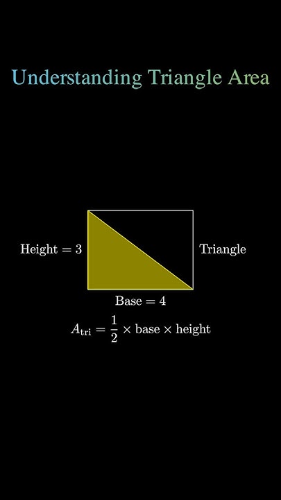 How to Derive the Area of a Triangle – Step-by-Step Explanation! - YouTube