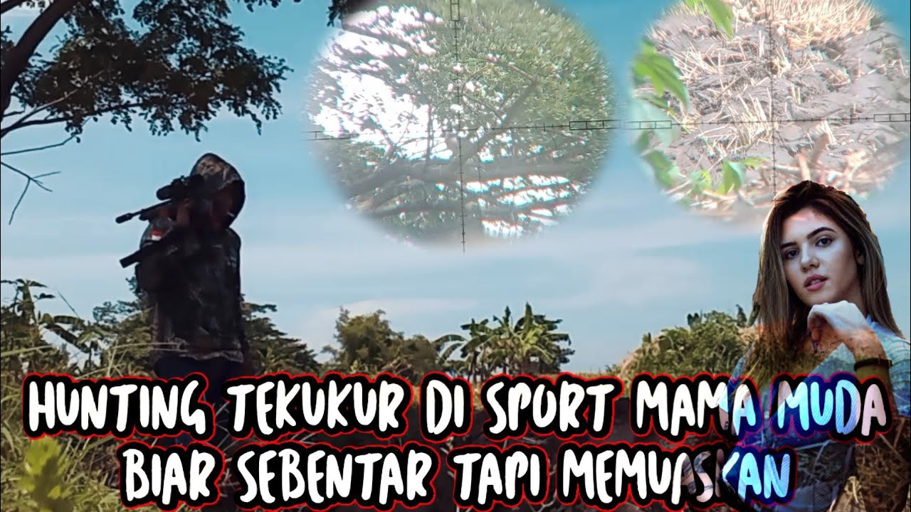 hunting tekukur cuma sebentar disport mama muda - YouTube