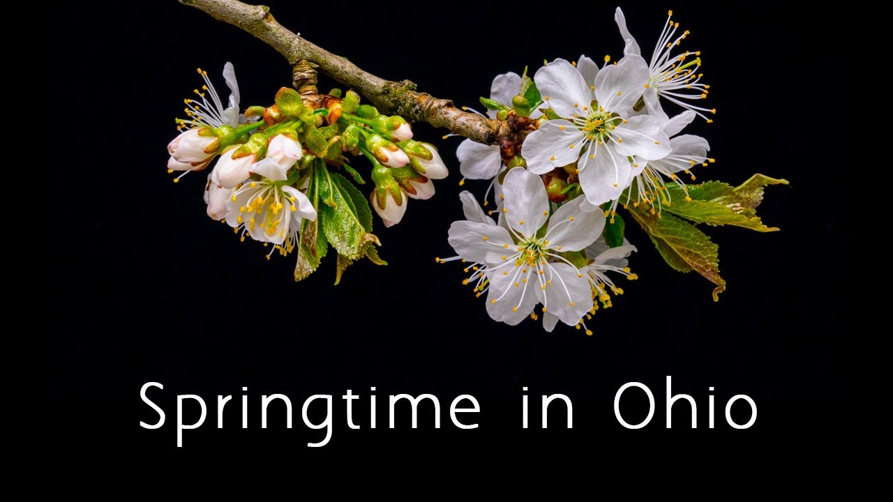 Spring In Ohio