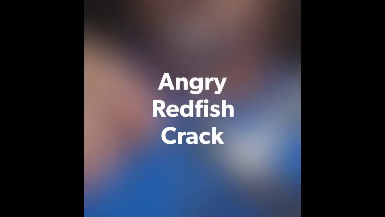 Angry Redfish Crack - YouTube