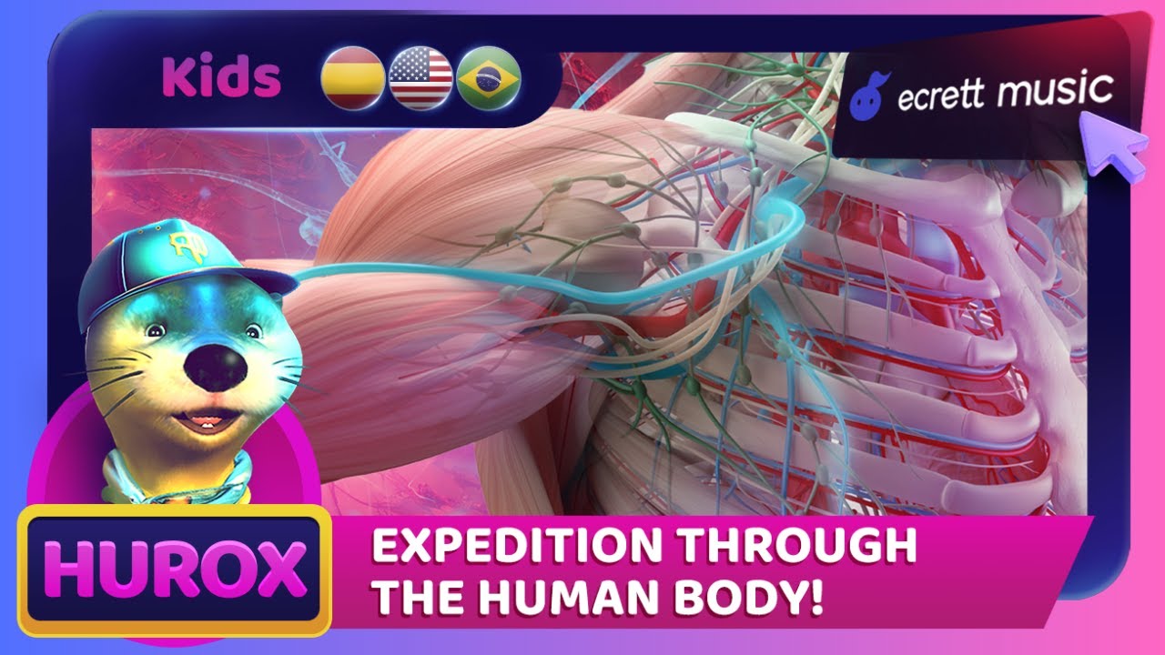 Journey Through the Human Body! 🚀 - YouTube