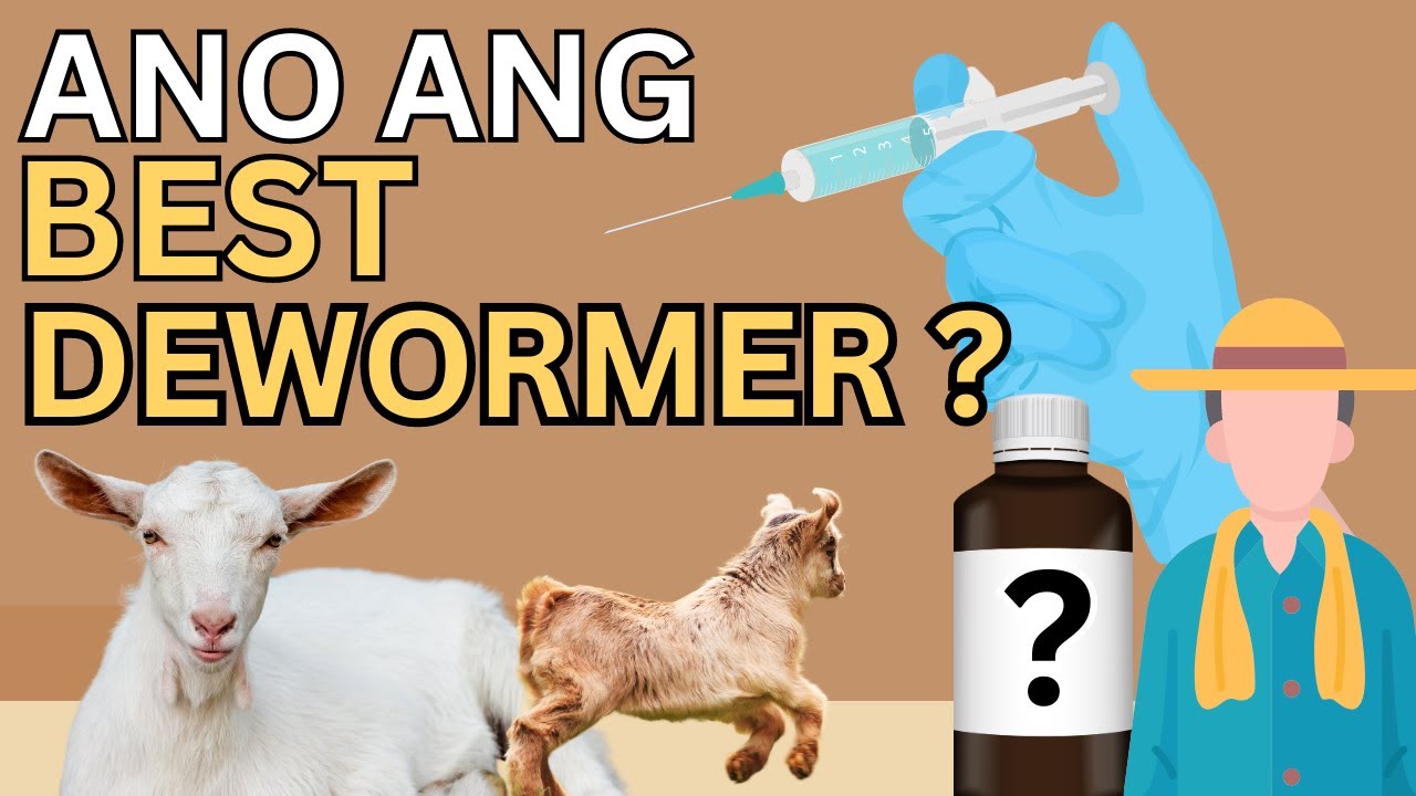 ANO ANG BEST DEWORMER? - YouTube