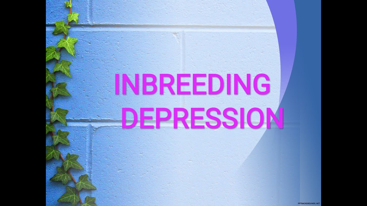 Inbreeding Depression_Plant breeding and genetics - YouTube