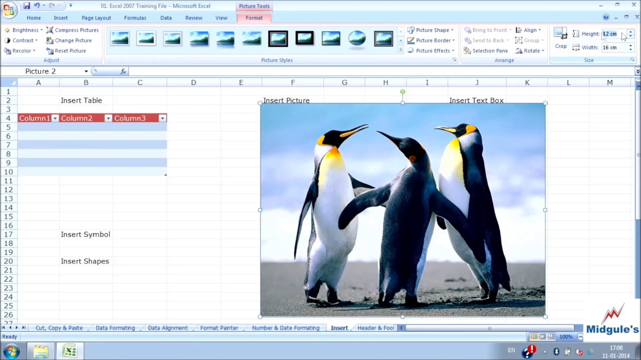 Insert Table, Picture, Text Box, Symbol, Shapes, Smart Art & Word Art ...