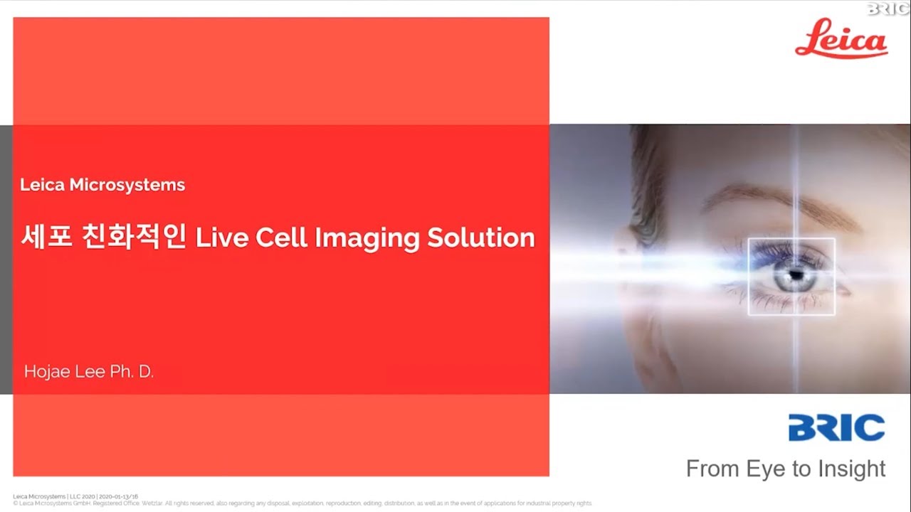 세포 친화적인 Live Cell Imaging Solution - YouTube