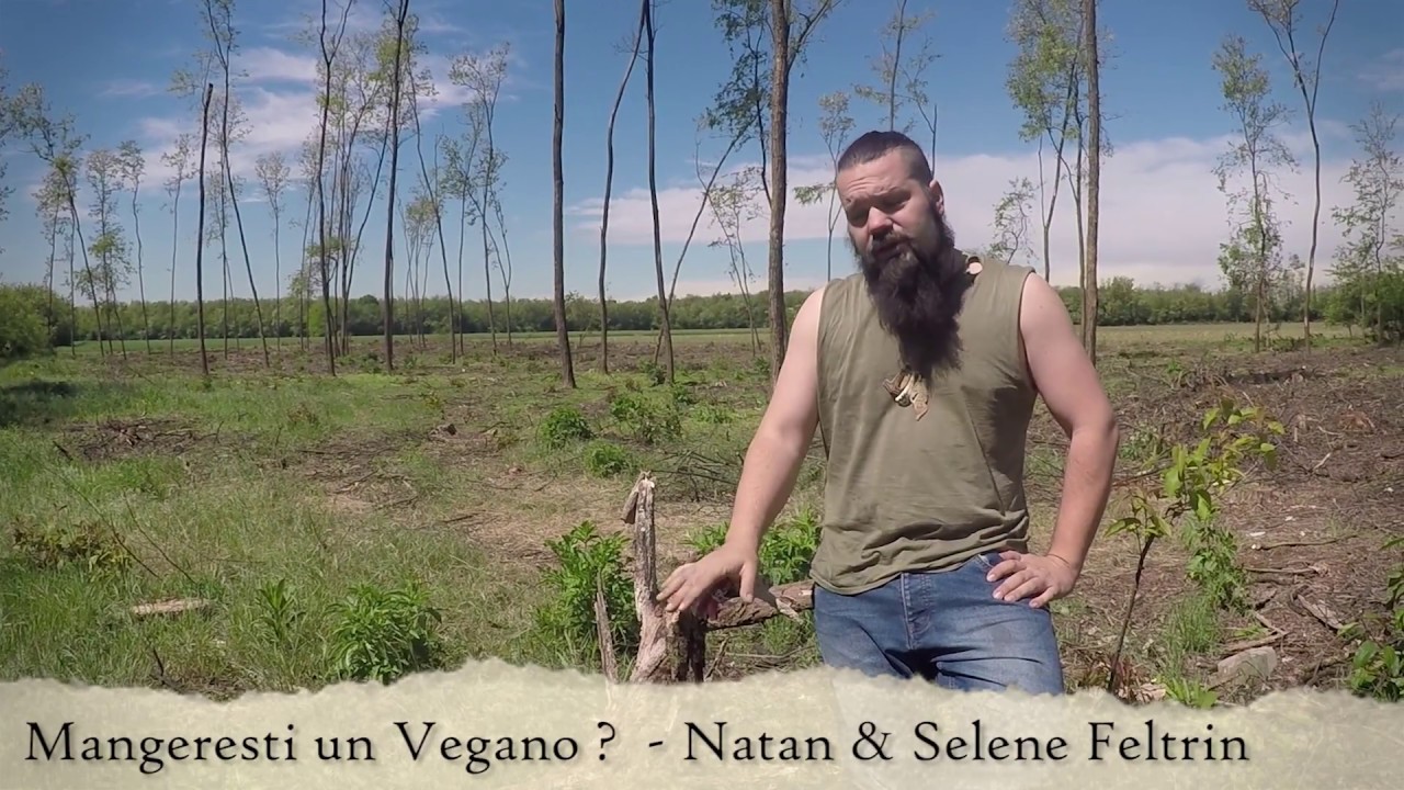 [Library] [Pellegrino] Mangeresti un Vegano? - Natan & Selene Feltrin ...