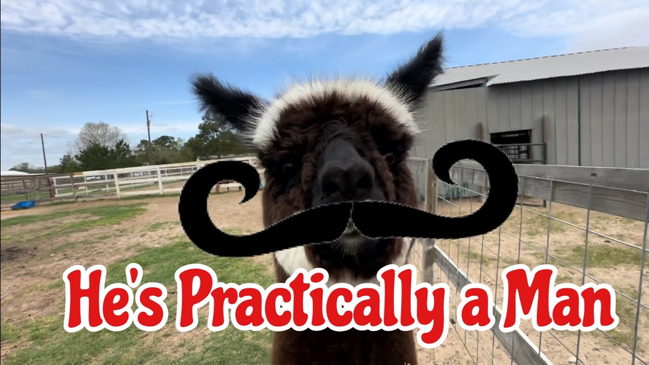 When Your Baby Grows a Mustache and Tries to “Claim” You - YouTube