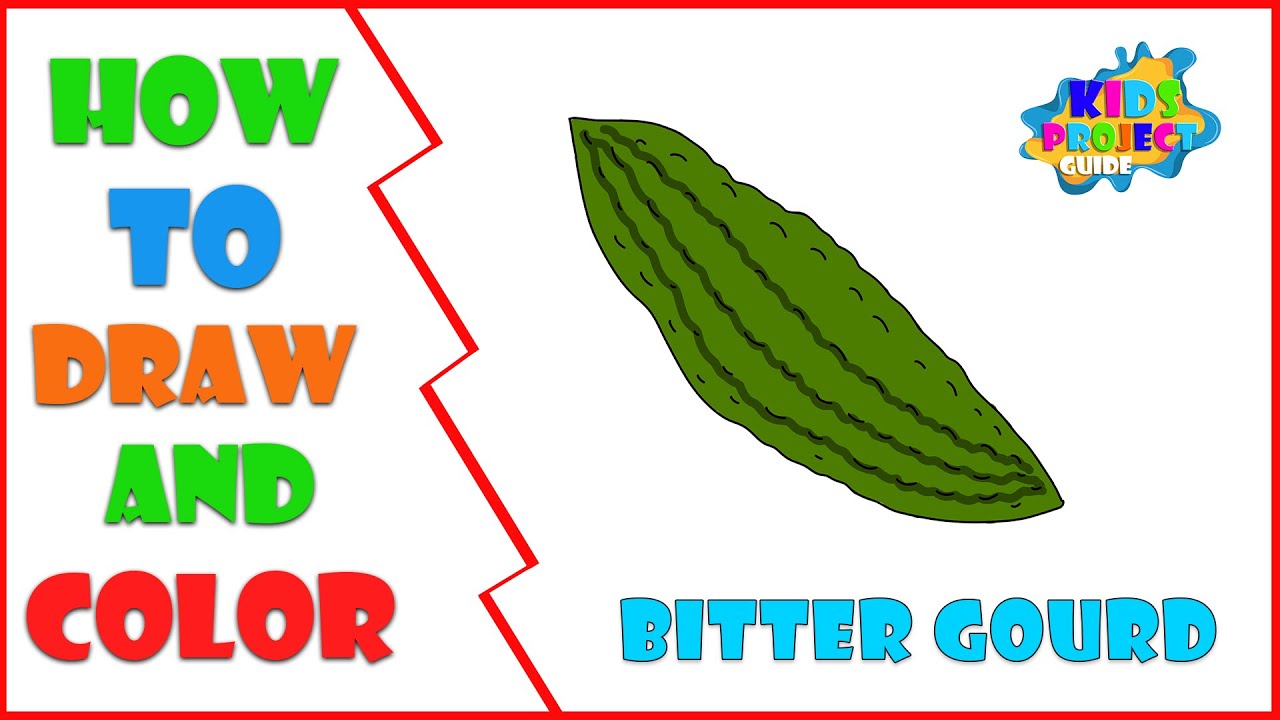 How To Draw And Color Bitter Gourd Step By Step Guide | Easy Drawing ...