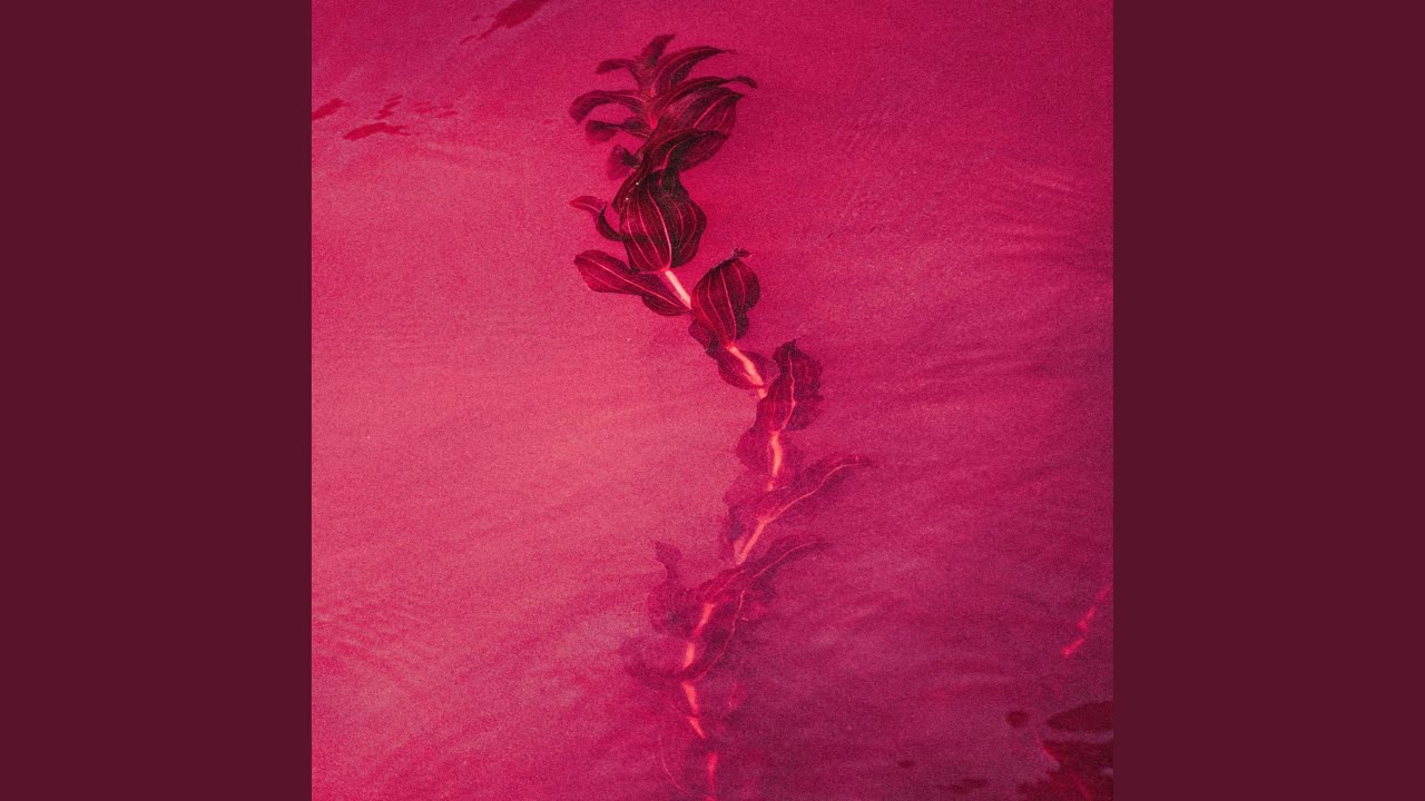 furious violet - YouTube