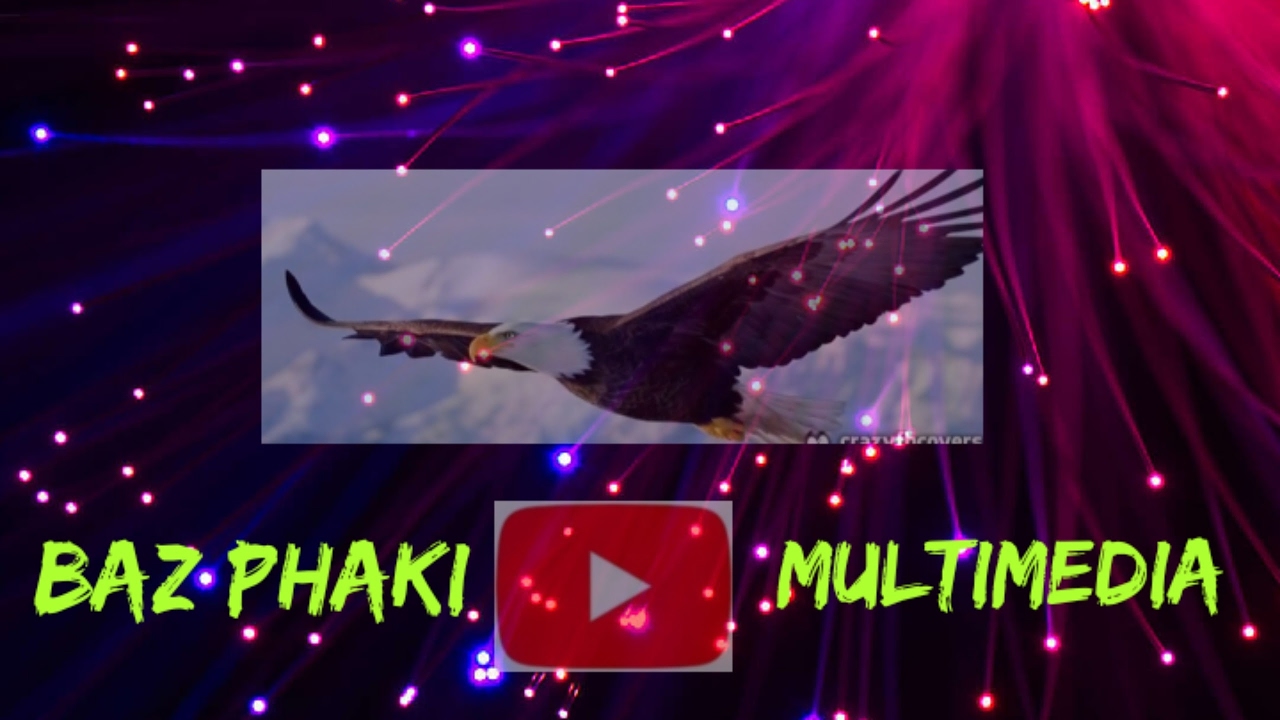 Baz Pakhi Multimedia Live Stream - YouTube