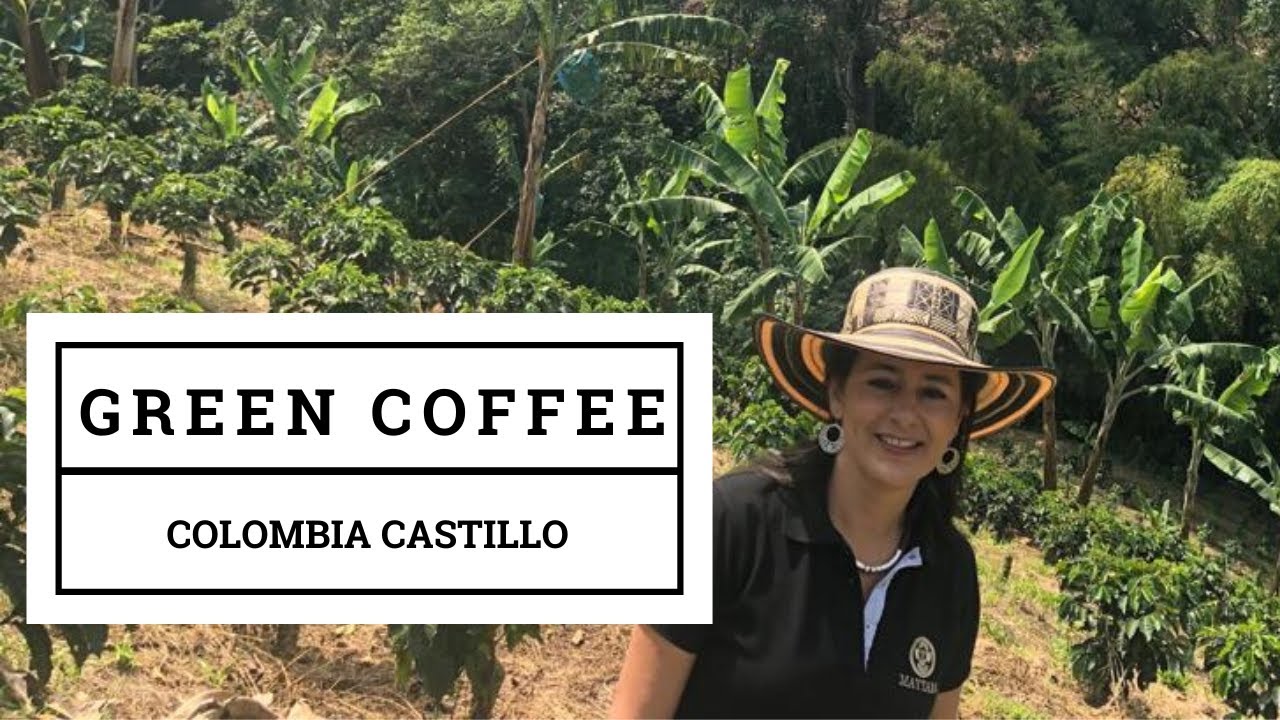 Green coffee beans - 3rd wave at it's best: fruity and beautiful honey ...