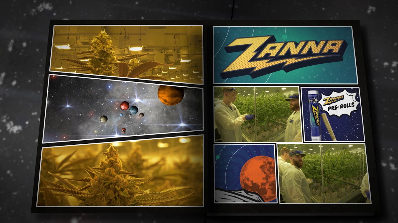 Welcome to Zanna... - YouTube