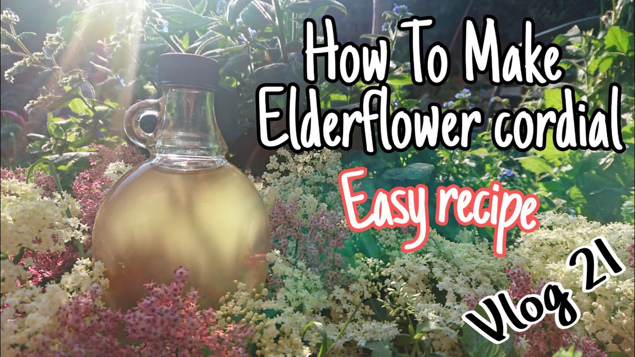 Elderflower Cordial Step By Step Easy To Make Recipe - YouTube