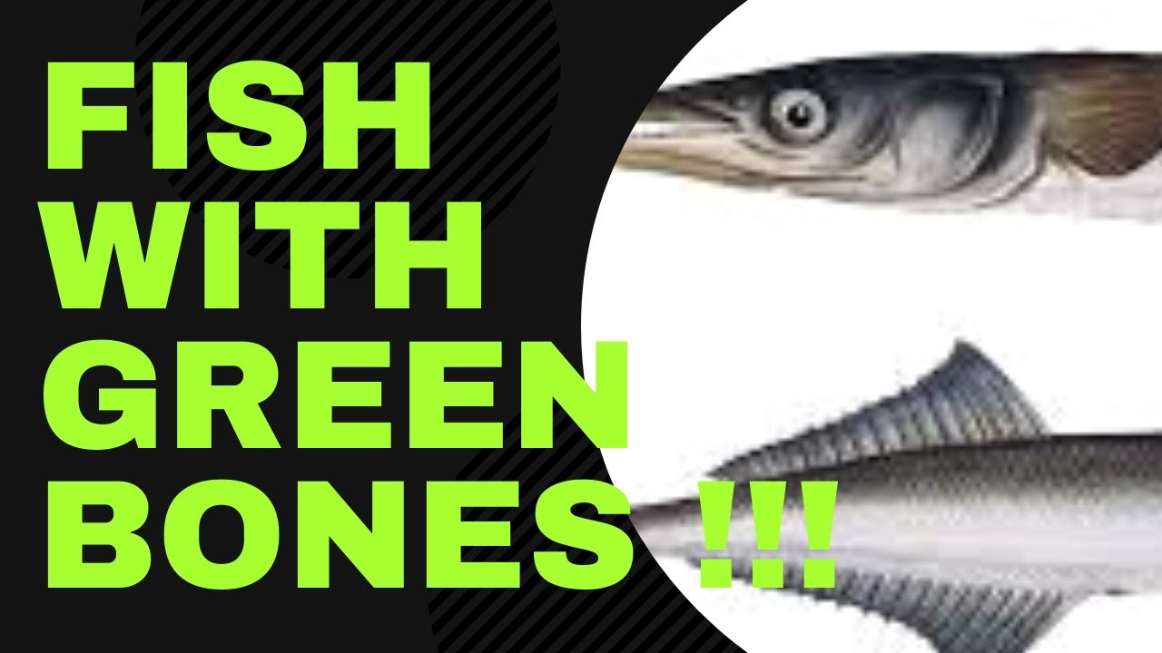 FISH WITH GREEN BONES !!!!!! - YouTube