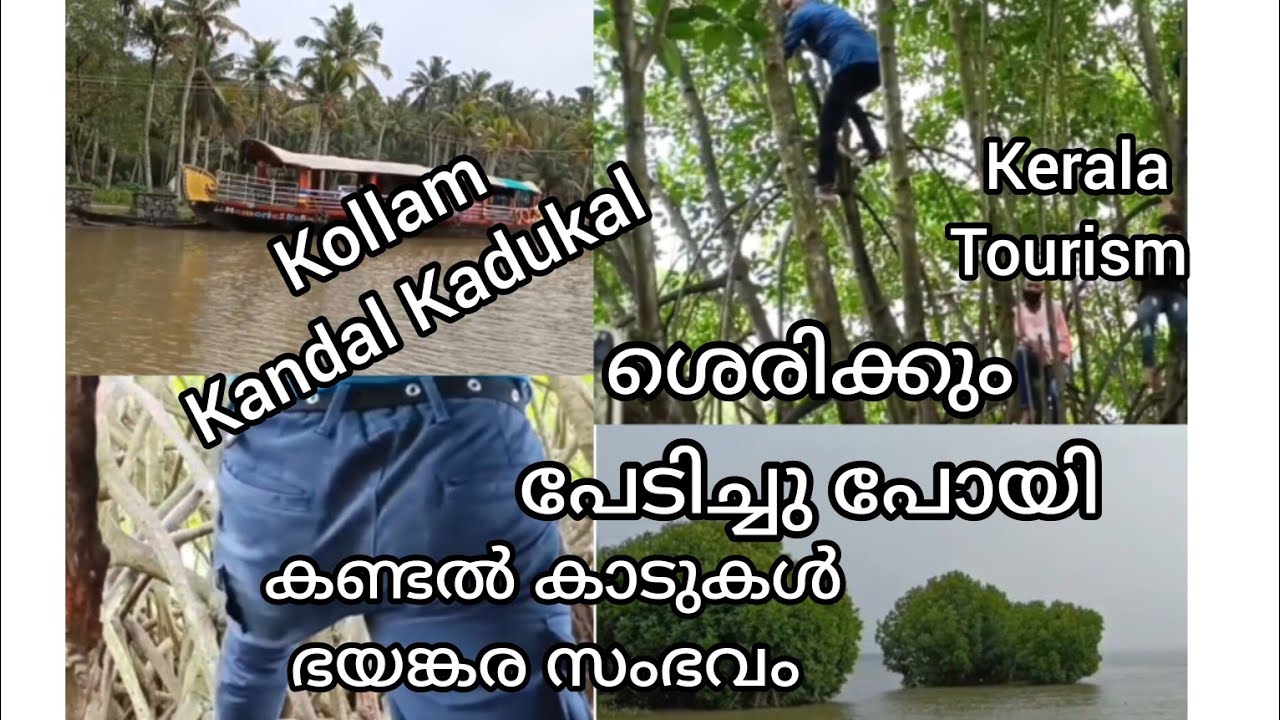 ഇത്ര സാഹസികത കാണിക്കരുത് പേടിച്ചു പോയി കയ്യ് വിറച്ച വീഡിയോ എടുത്തേ ...