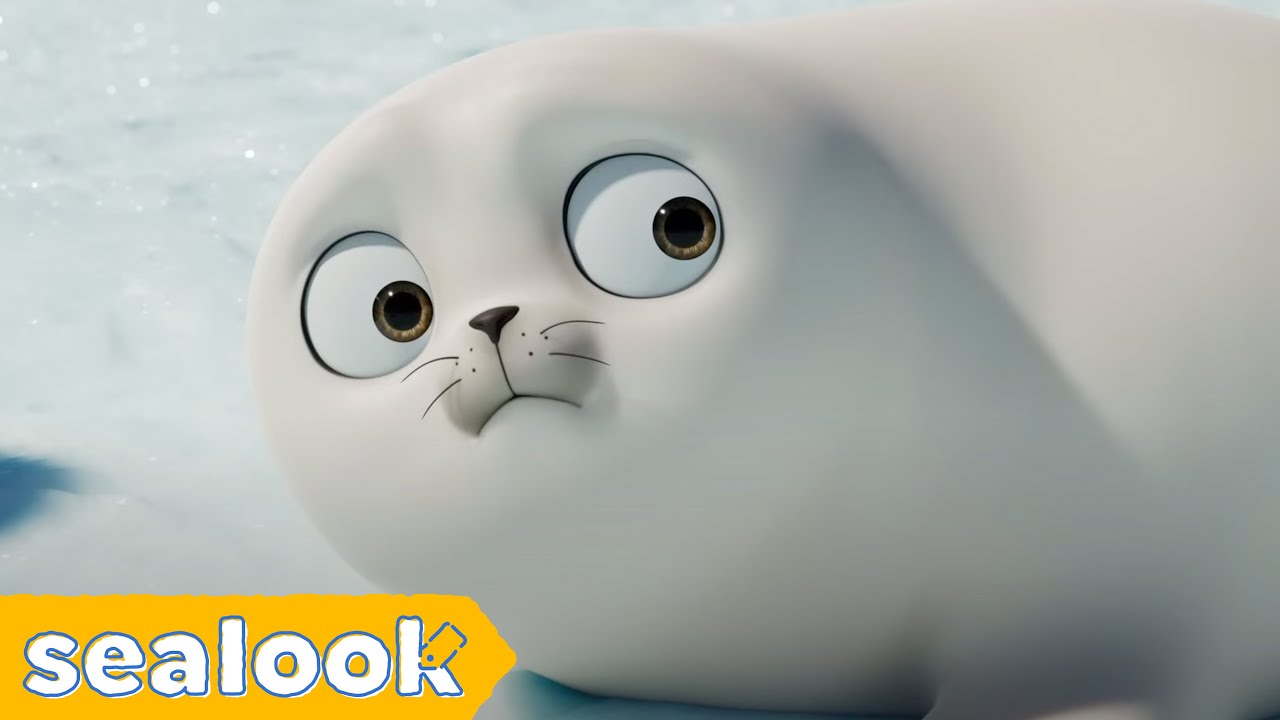 The Cutest Moments of Baby Seal is HereㅣSEALOOKㅣEpisodes Compilation ...