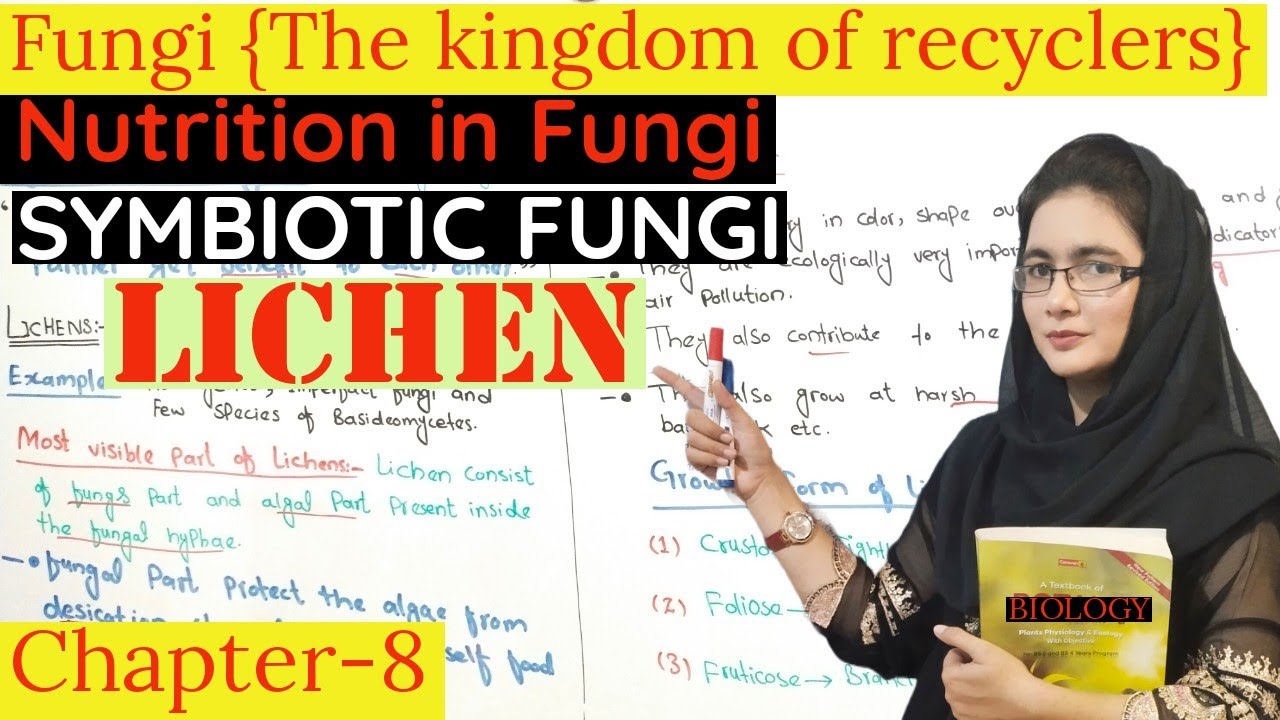What Is Lichen Symbiotic Association Of Fungi Part 1 Nutrition In what-is-lichen-symbiotic-association-of-fungi-part-1-nutrition-in