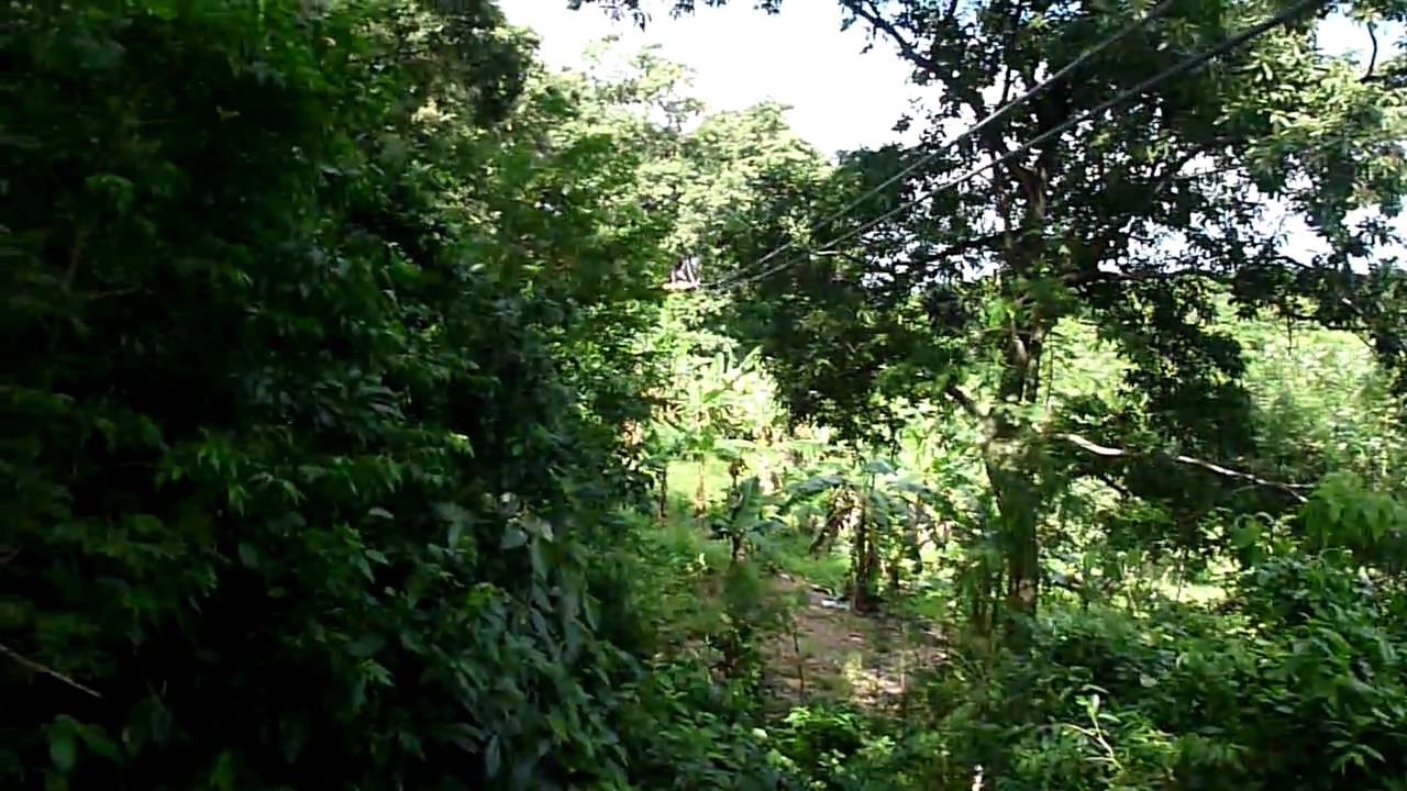Victor Bodden Tours- Roatan Honduras- Zipline - YouTube
