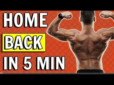 Home Back Workout - No Equipment |Back Exercises at Home Without ...