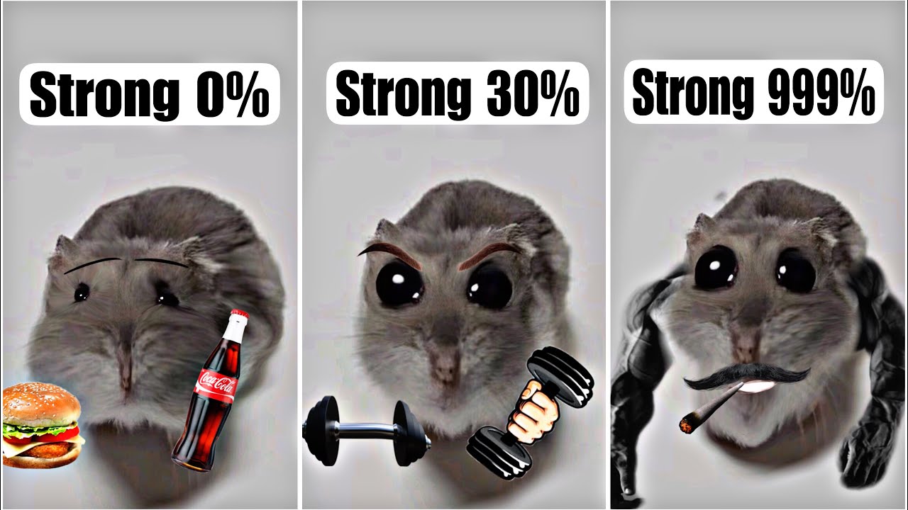 Sad Hamster Everytime with more strong - YouTube