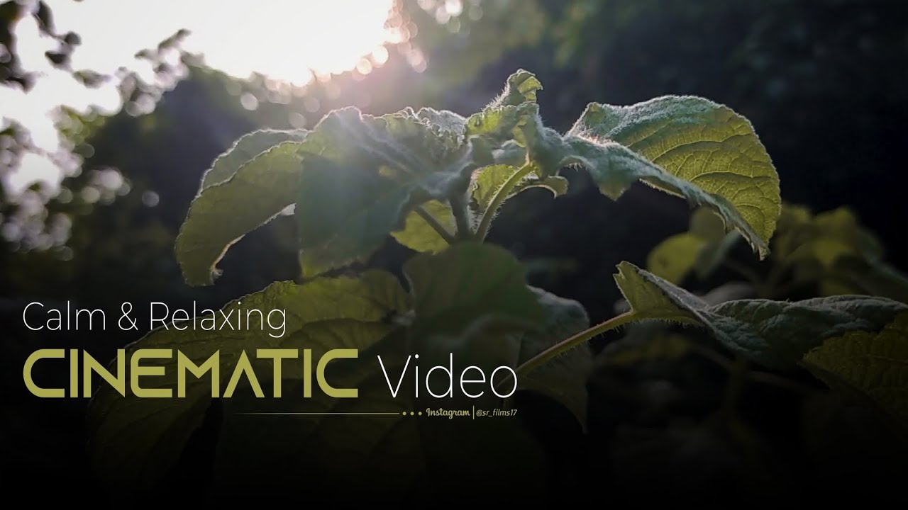 Calm & Relaxing cinematic nature video | SR films - YouTube