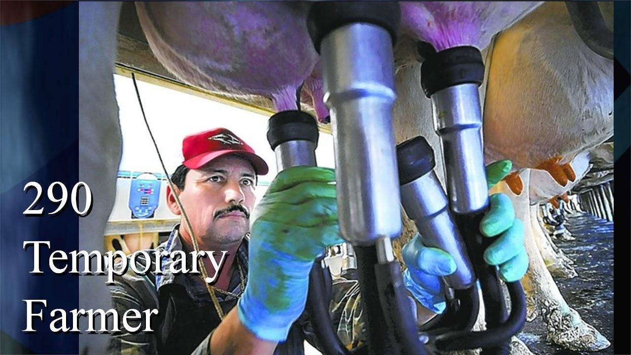 The Old Principal 281 - YouTube