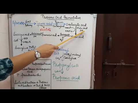 PROPIONIC ACID FERMENTATION - YouTube