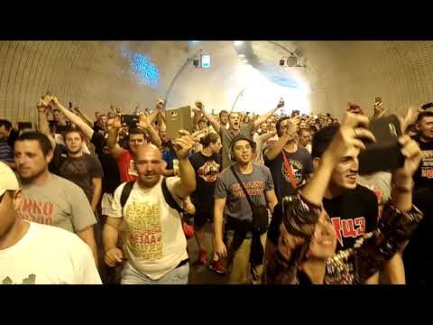 UEFA mafija, Kosovo je Srbija (Delije u Pragu)