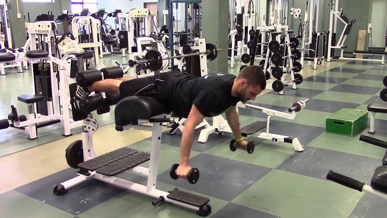 Reverse fly on back extension - YouTube