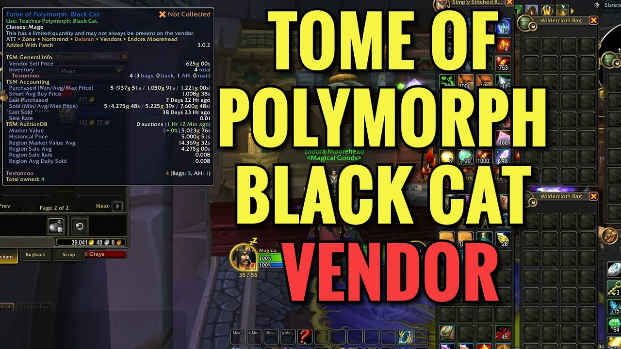 Tome Of Polymorph Black Cat Vendor Location (WoW Retail) - YouTube
