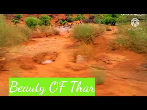 THAR PAR KAR ❣️🔥🌧️