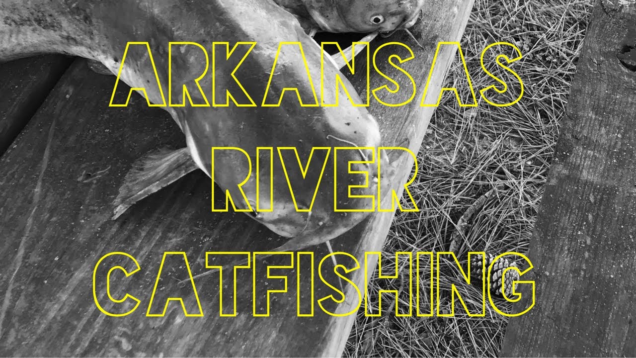 Arkansas river Catfishing - YouTube