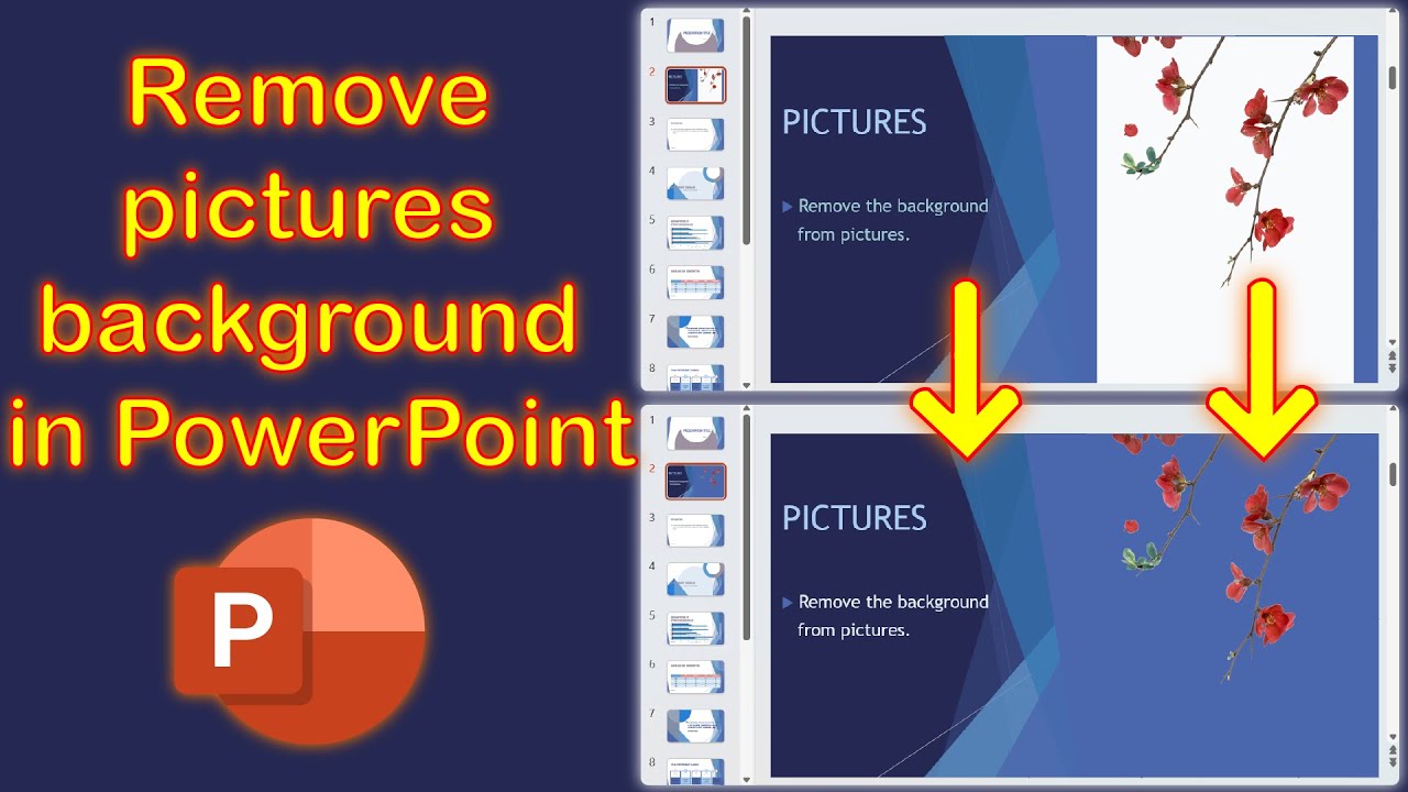 How To Remove The Background From Pictures In PowerPoint YouTube How To Remove The Background From Pictures In PowerPoint YouTube