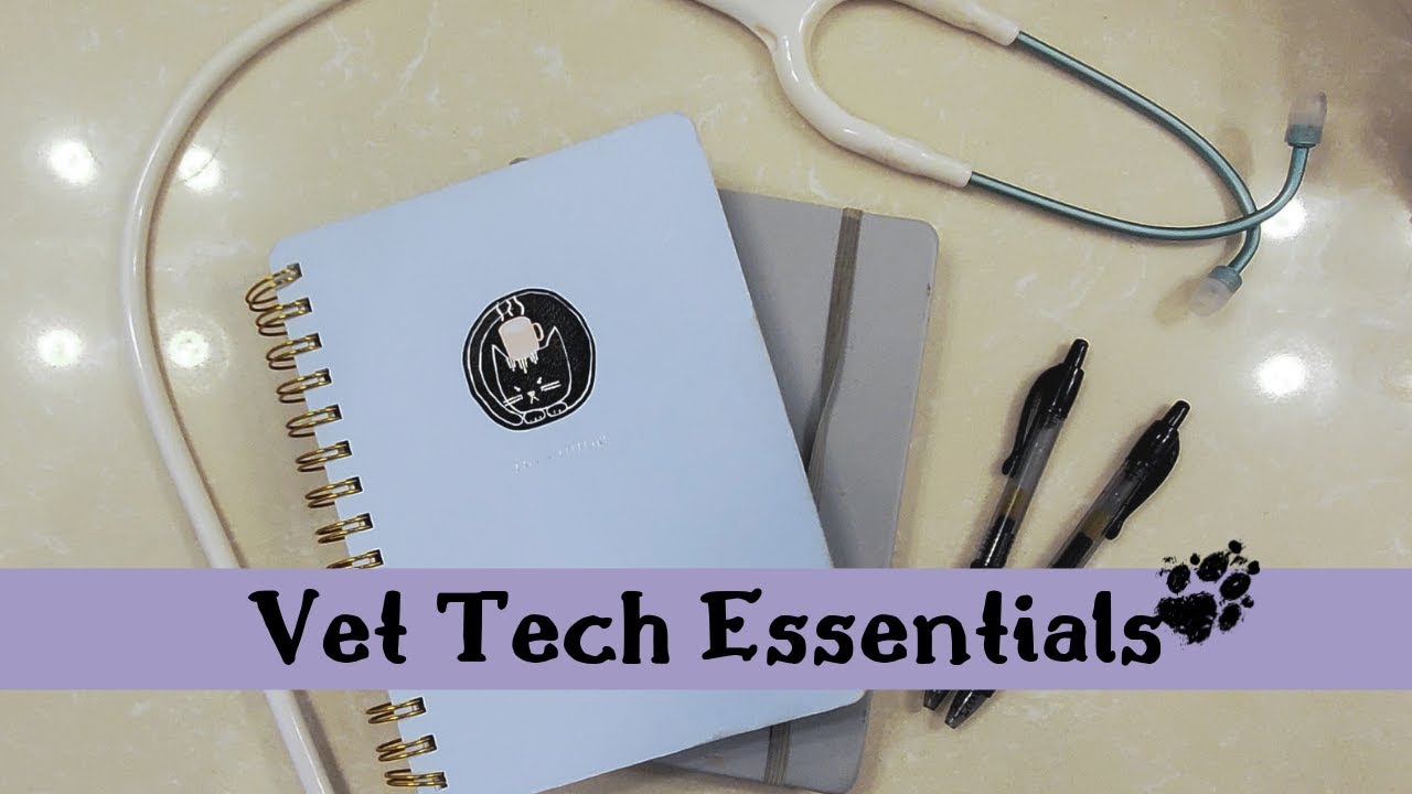 My Vet Tech Essentials - These Things Make My Job Easier! - YouTube