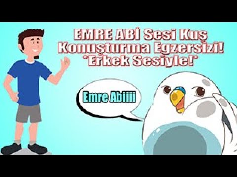 Emre Abi Sesi Kuş Konuşturma Egzersizi Erkek Sesiyle