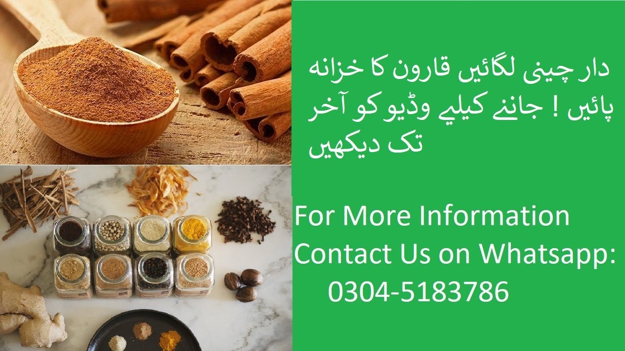 Dar Cheeni Lgao Lakhoon Kmao | Grow Cinnamon in Pakistan and India ...