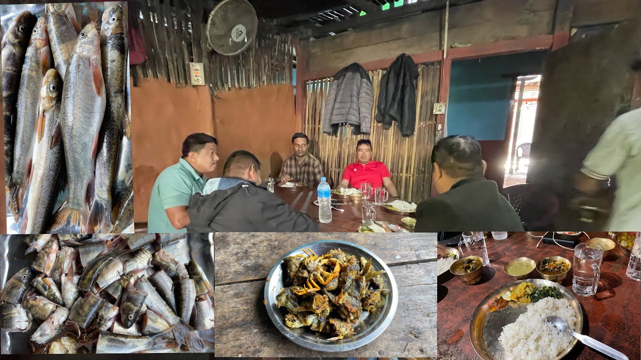 Trip to barhabise for Himalayan trout fish🐟 वाह्रविसेको रमाईलो यात्रा ...