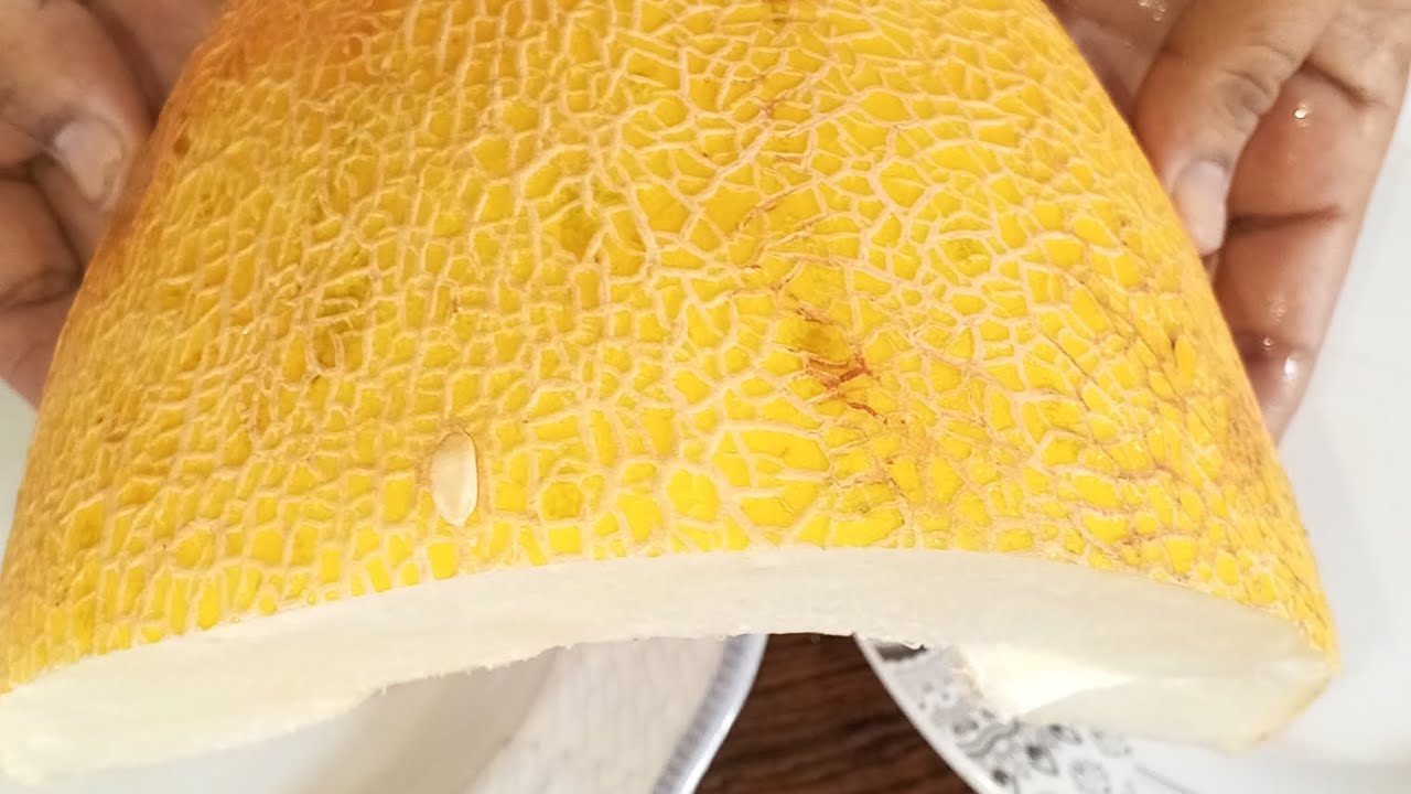 Fruit Recipe Special Recipe 😋|Garma recipe|BY Sofia Daily Routine - YouTube