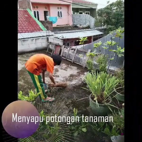 tugas bersih bersih - YouTube